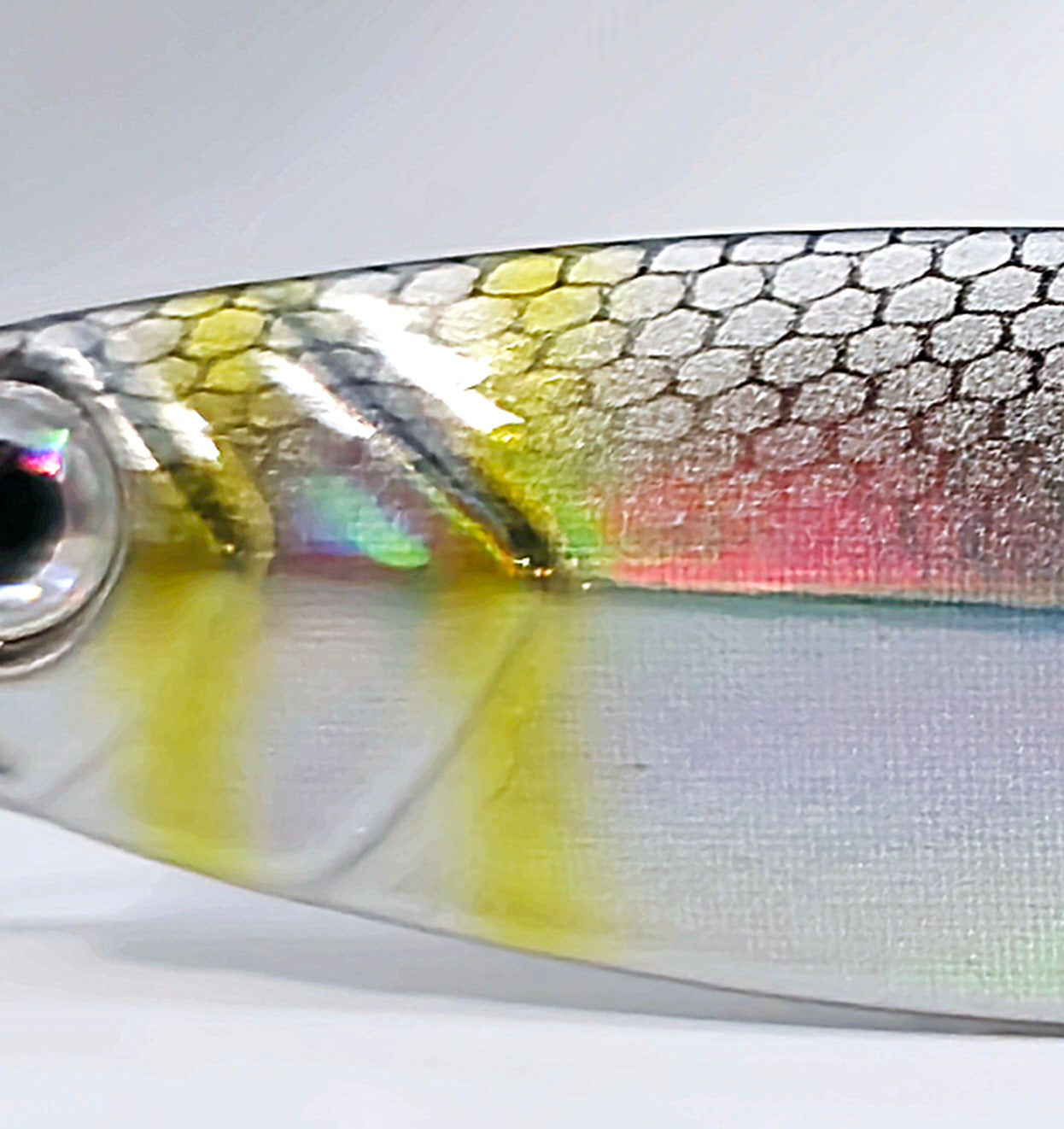 CastMan Sunburst Long Casting Minnow Fishing Lure – COLMANTS Fishing Lures