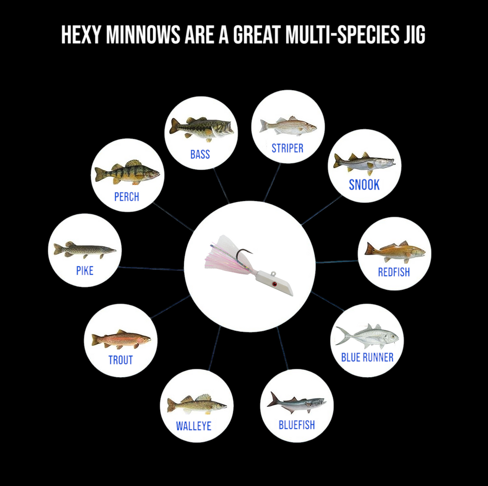 Hexy Minnow - 1oz White Hex Head Glass Minnow Jigs – COLMANTS Fishing Lures